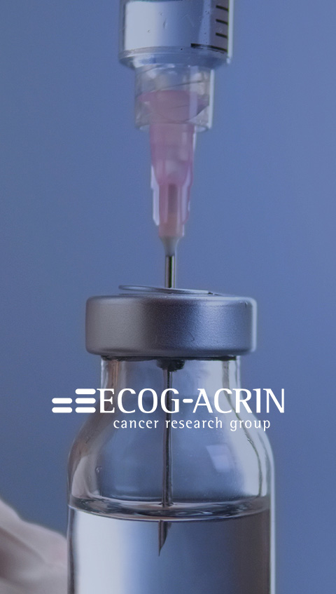 NYC and SF Ad Agency | True North Full-Service Advertising