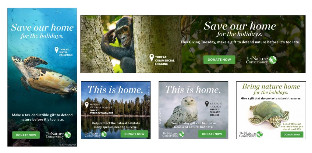 Save Our Home for the Holidays | True North Full-Service Advertising